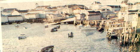 The Announcement of the Moratorium.